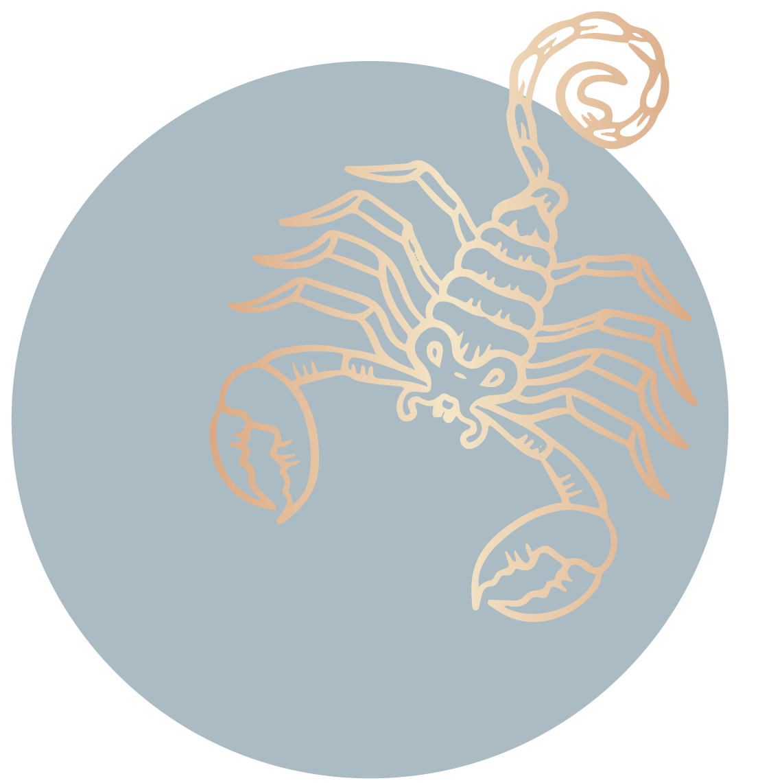Scorpio Horoscope & Personality Profile | Astrological Zodiac sign ...