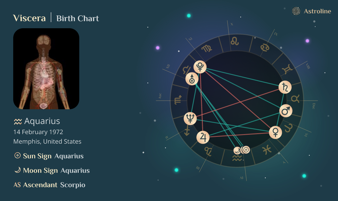 Viscera Birth Charts & Zodiac Sign: Sun, Moon & Rising Signs